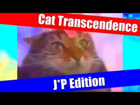 Cat Transcendence – J*P Edition – YouTube of shattered